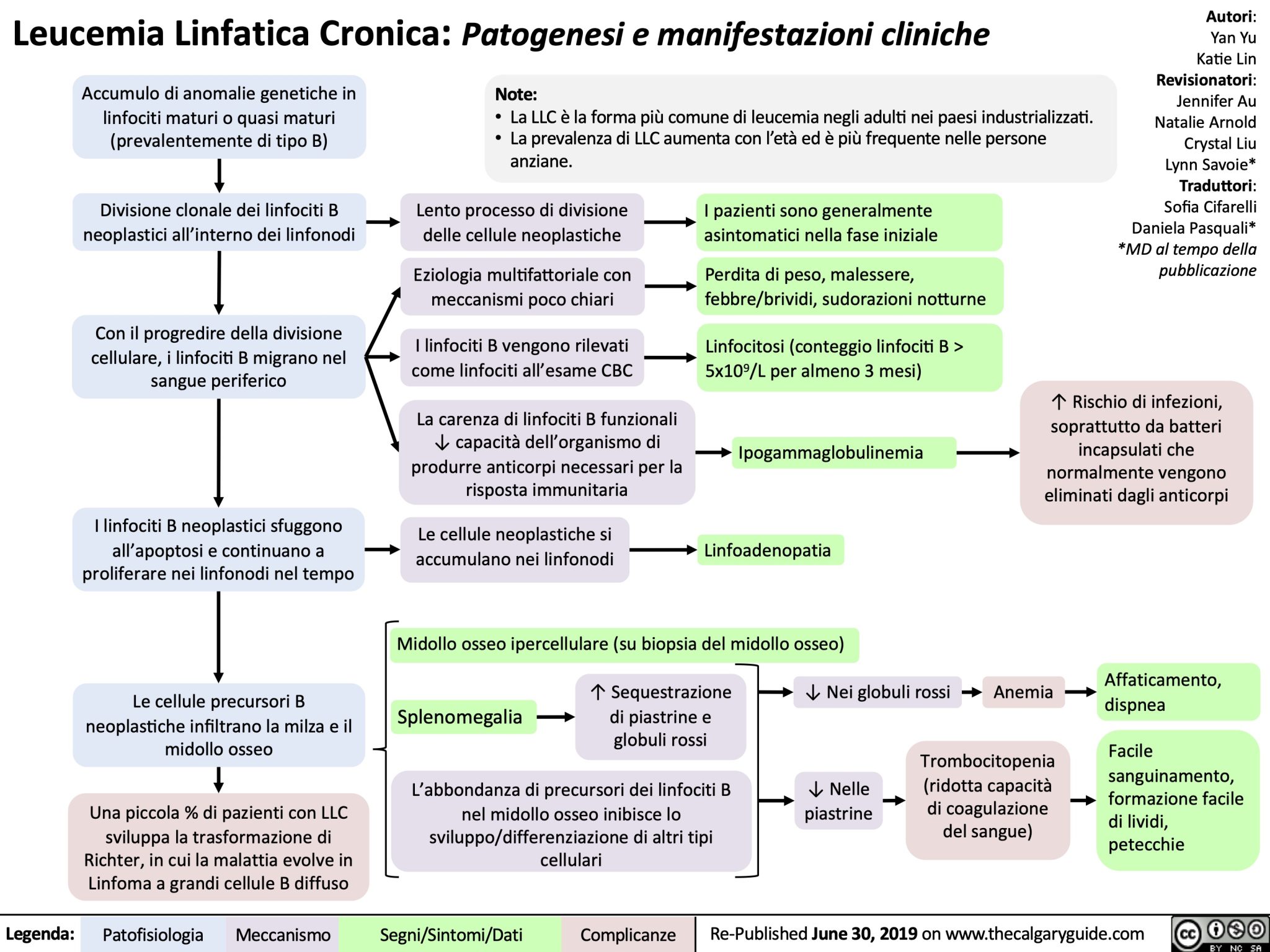 Leucemia Linfatica Cronica | Calgary Guide