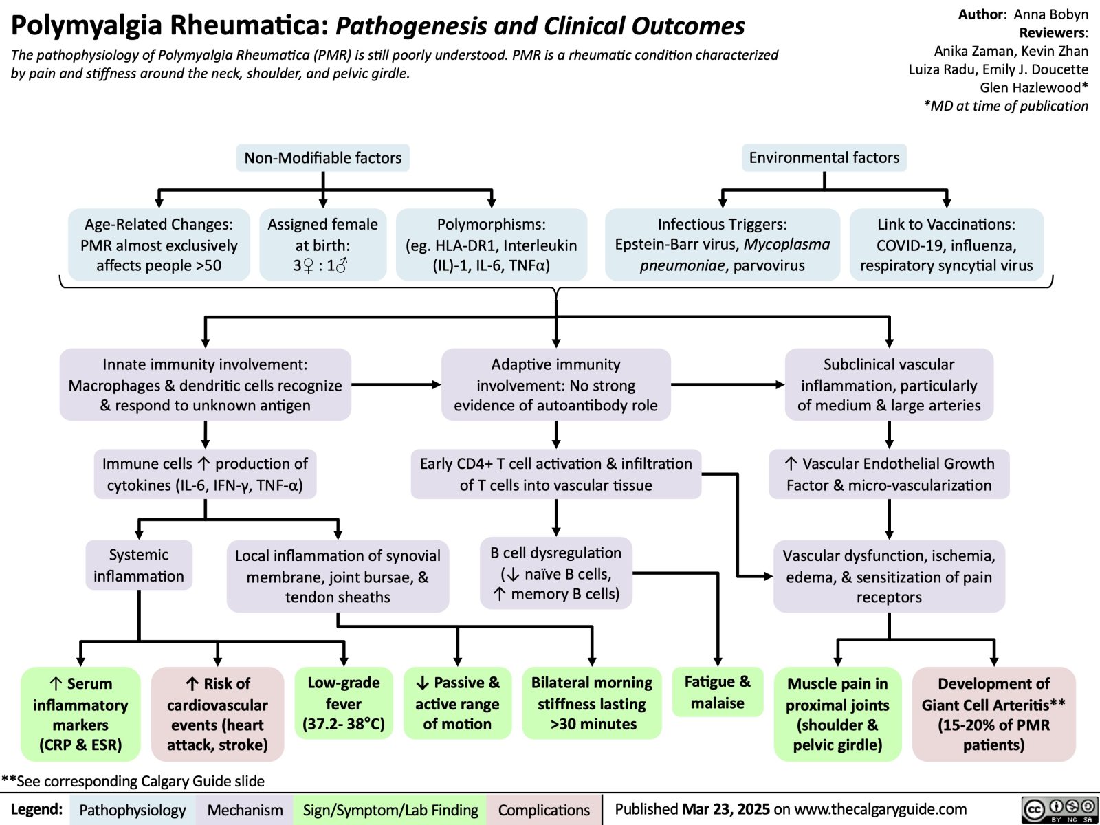 Polymyalgia Rheumatica | Calgary Guide