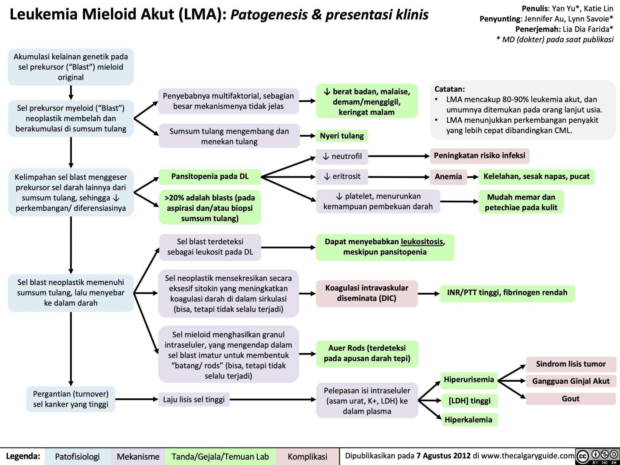 Leukemia Mieloid Akut (LMA): Patogenesis & presentasi klinis | Calgary GuideCalgary Guide