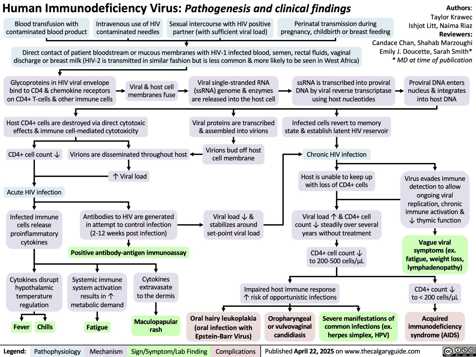 HIV Pathogenesis and Clinical Findings | Calgary GuideCalgary Guide