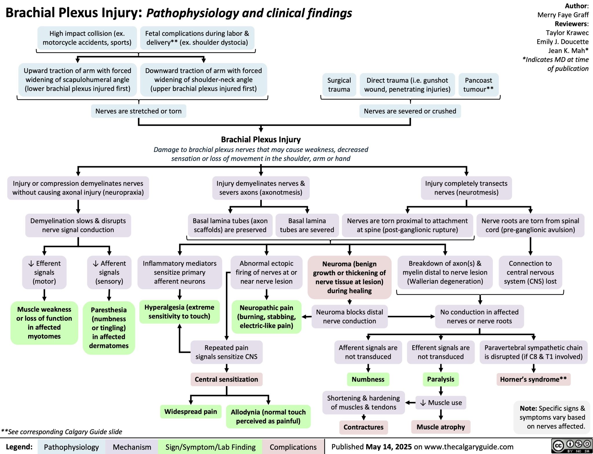 Brachial Plexus Injury | Calgary GuideCalgary Guide