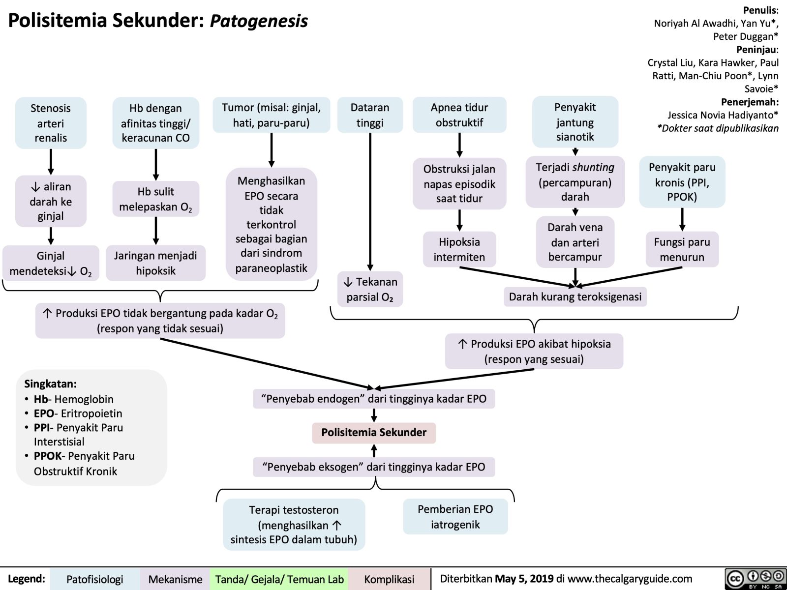 Polisitemia Sekunder Patogenesis | Calgary Guide