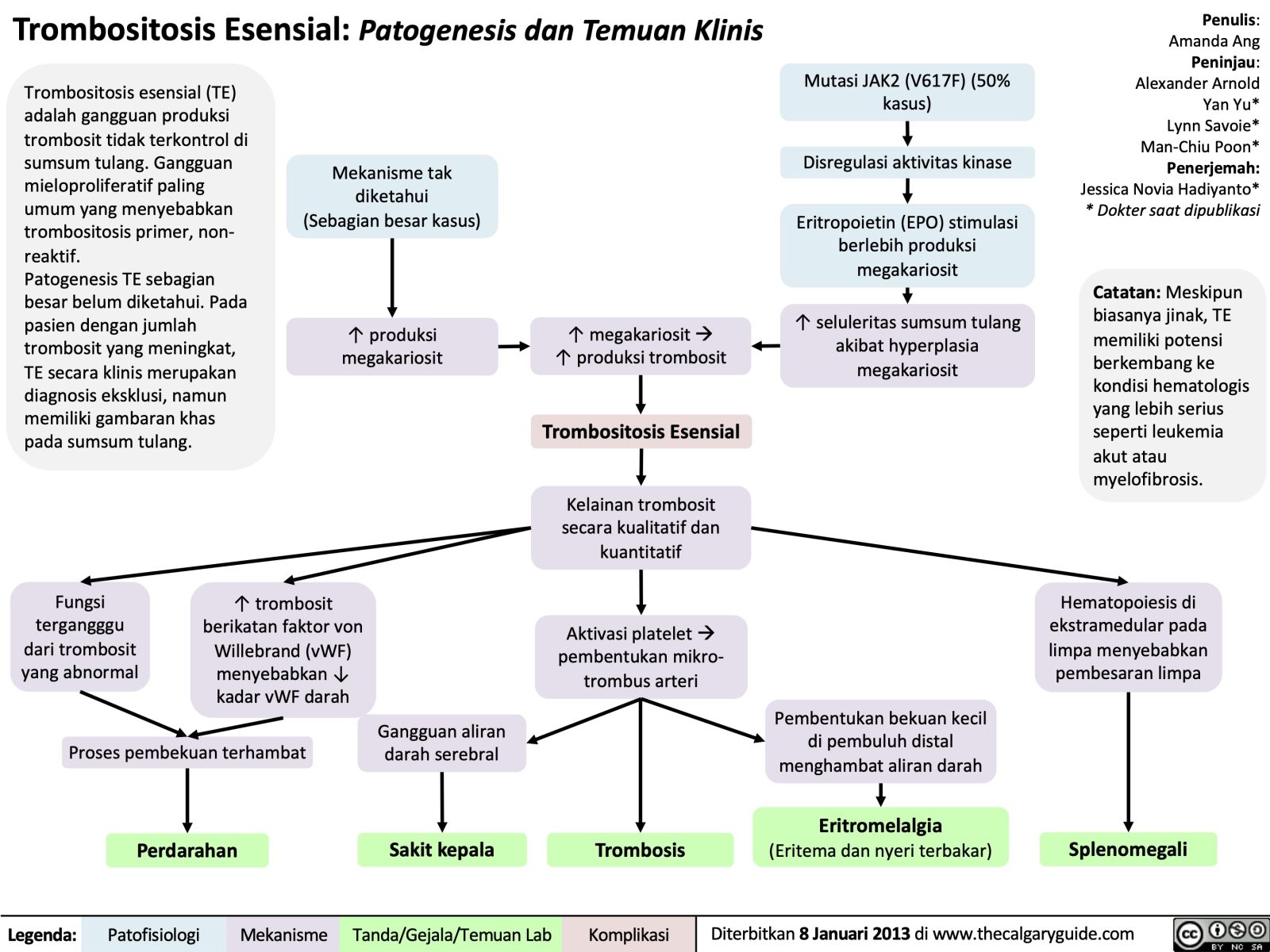 Trombositosis Esensial | Calgary GuideCalgary Guide
