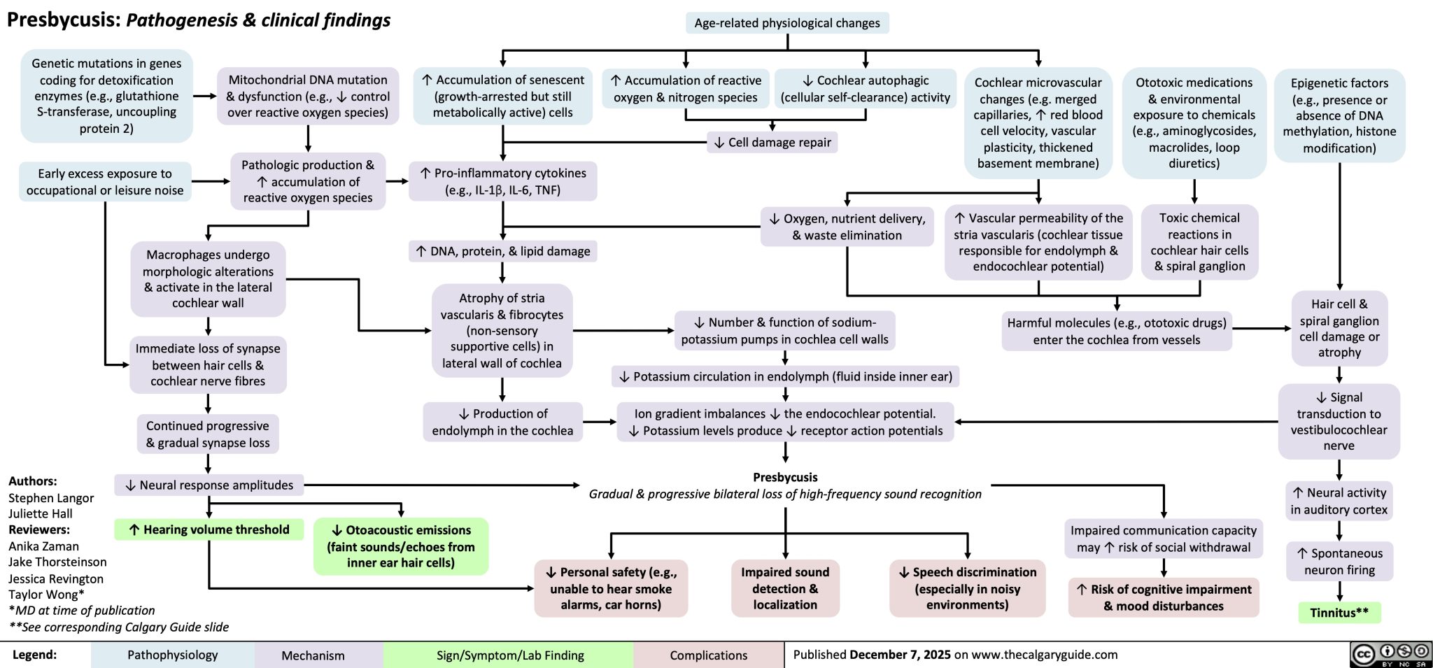 Presbycusis | Calgary GuideCalgary Guide