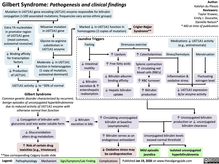 Gilbert Syndrome | Calgary Guide
